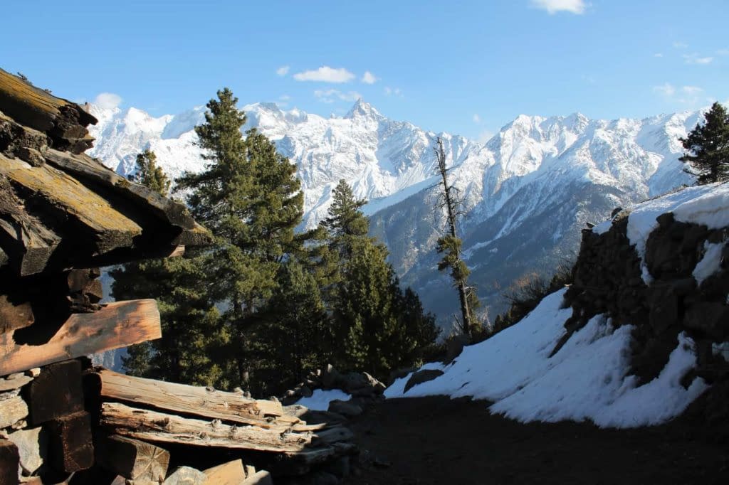 Chaka Meadows Hike Blog: Kalpa To Chakka Trek